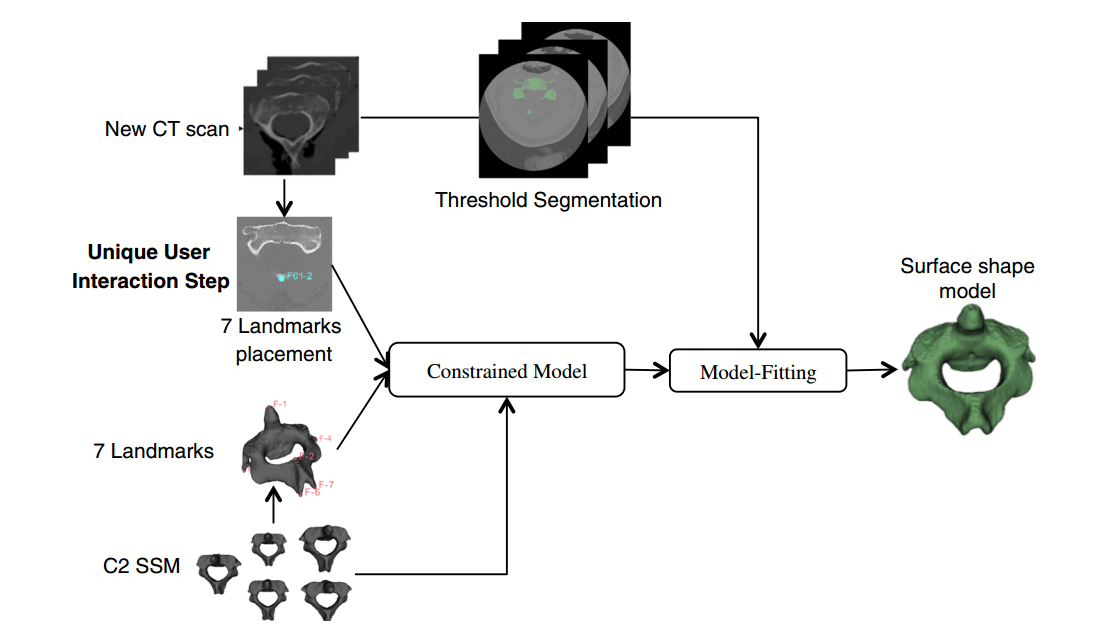 GitHub - Michael-M-Judd/spinal-segmentation-analysis: Python module ...