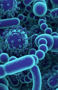 GitHub - EvaB5050/belly-button-challenge: Data Bootcamp Module 14 Challenge