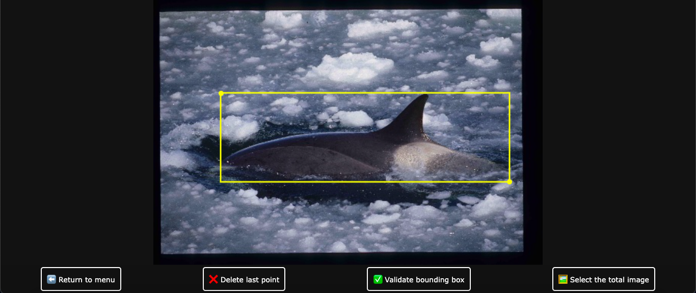 GitHub - TheoBoyer/Manual-bbox-annotation-tool
