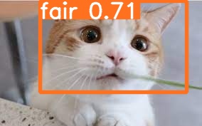 GitHub - Leo9156/Cat-Emotion-Detection: Using custom Yolov5 object detection model to recognize ...