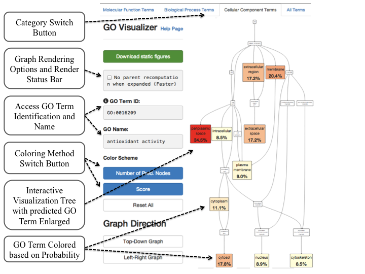 GitHub - kiharalab/GOVisualizer