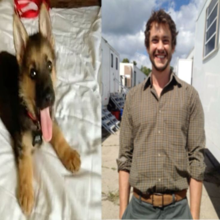 yaoikat (adam ☆) · GitHub