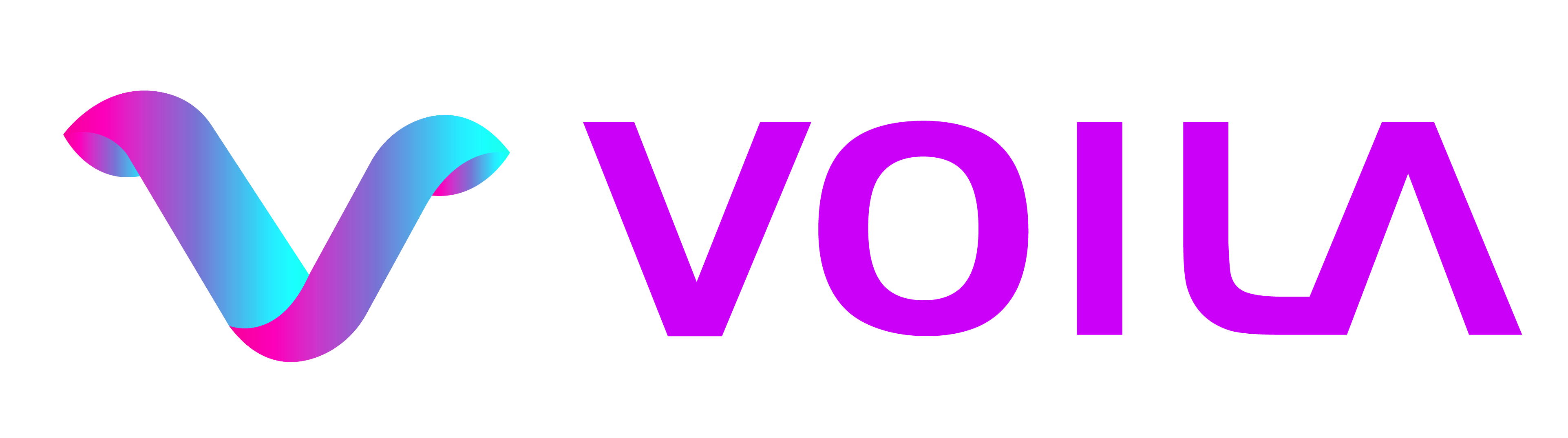 GitHub - maitrix-org/Voila