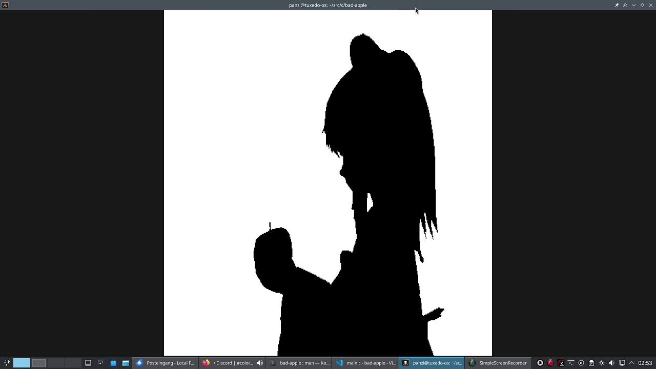 GitHub - Passw/panzi-bad-apple-terminal: WIP