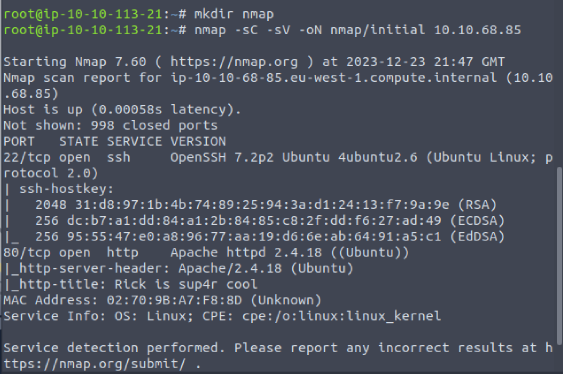 GitHub - SamsonCybersecurity/TryHackMe-Pickle-Rick-CTF: Pickle Rick CTF
