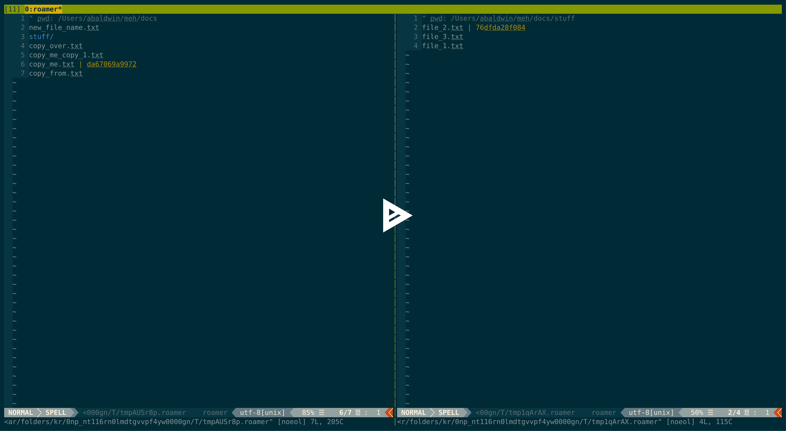 GitHub - abaldwin88/roamer: The Plain Text File Manager