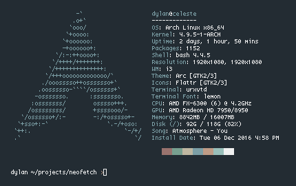GitHub - dylanaraps/ryuuko: 🎨 A colorscheme~