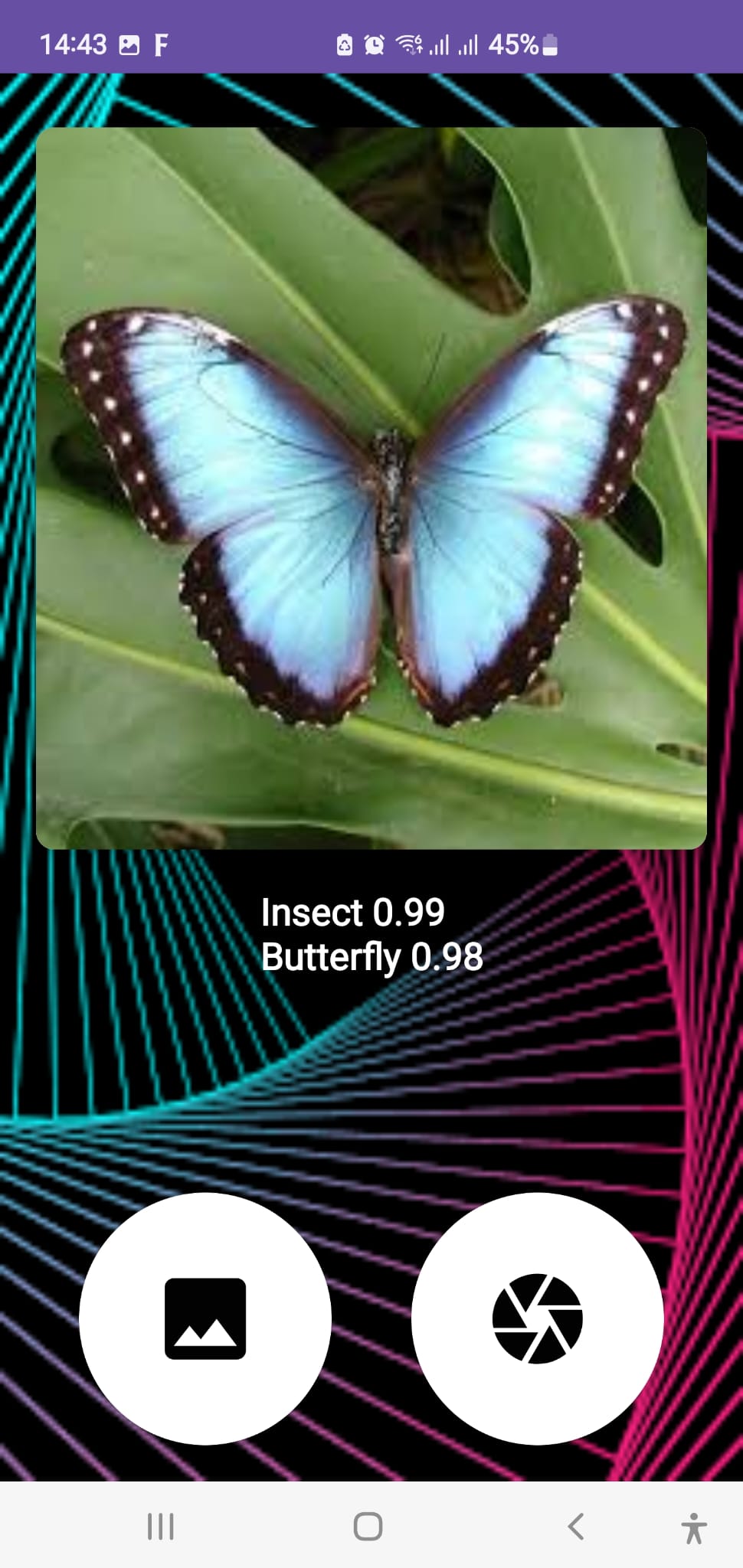 GitHub - chivumarius/ImageLabeling: Building the "Image Labeling" Android App in Android Studio ...