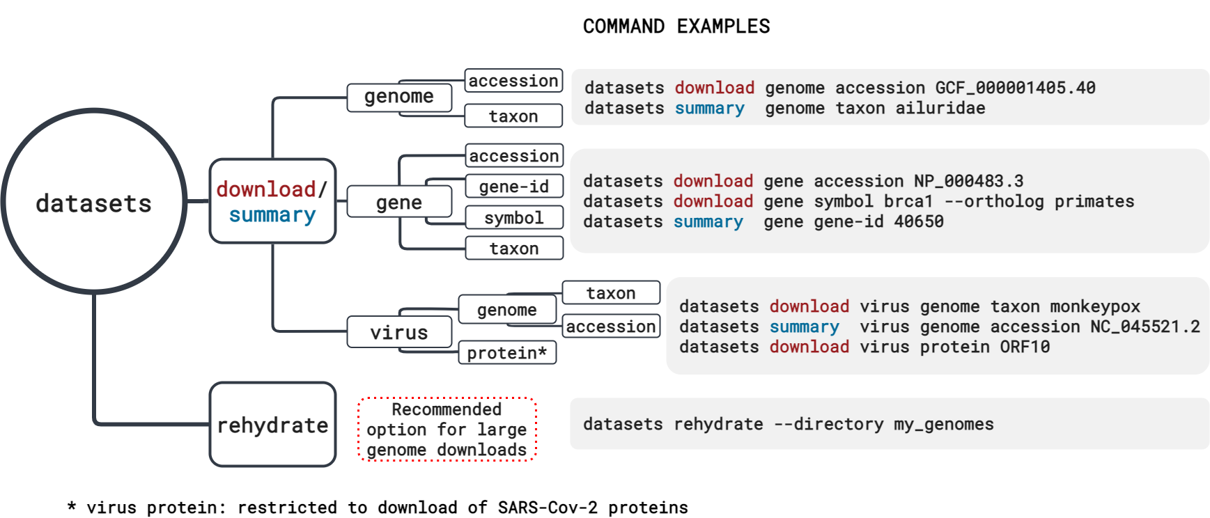GitHub - jd-campbell/ncbi_datasets: NCBI Datasets is a new resource ...