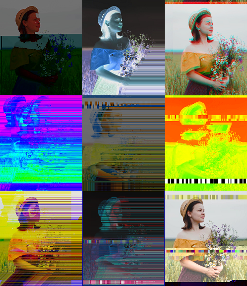 GitHub - Robson/Glitch-Generator: A C# tool for applying random glitches to images.
