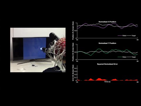 GitHub - BradleyEdelman/BCI-real-time-neuroimaging: Real-time BCI platform used to assess ...