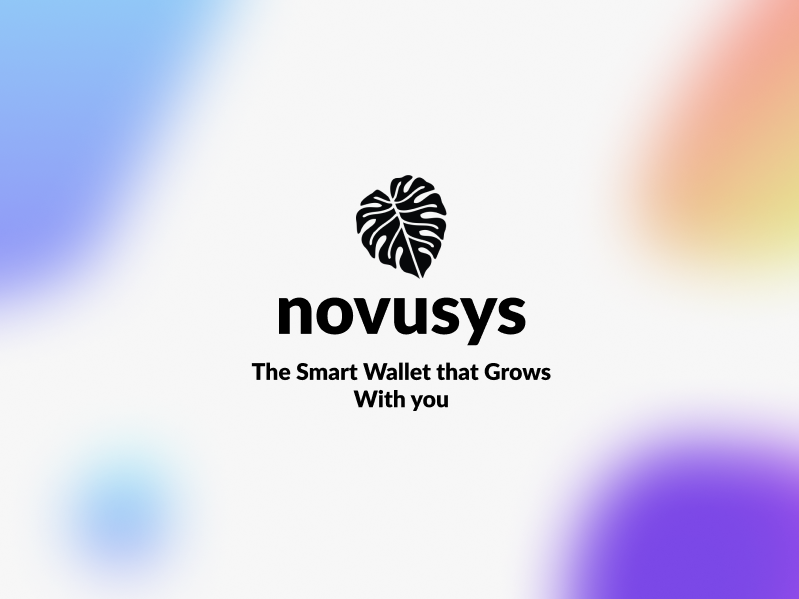 GitHub - novusys/novusys-paymaster