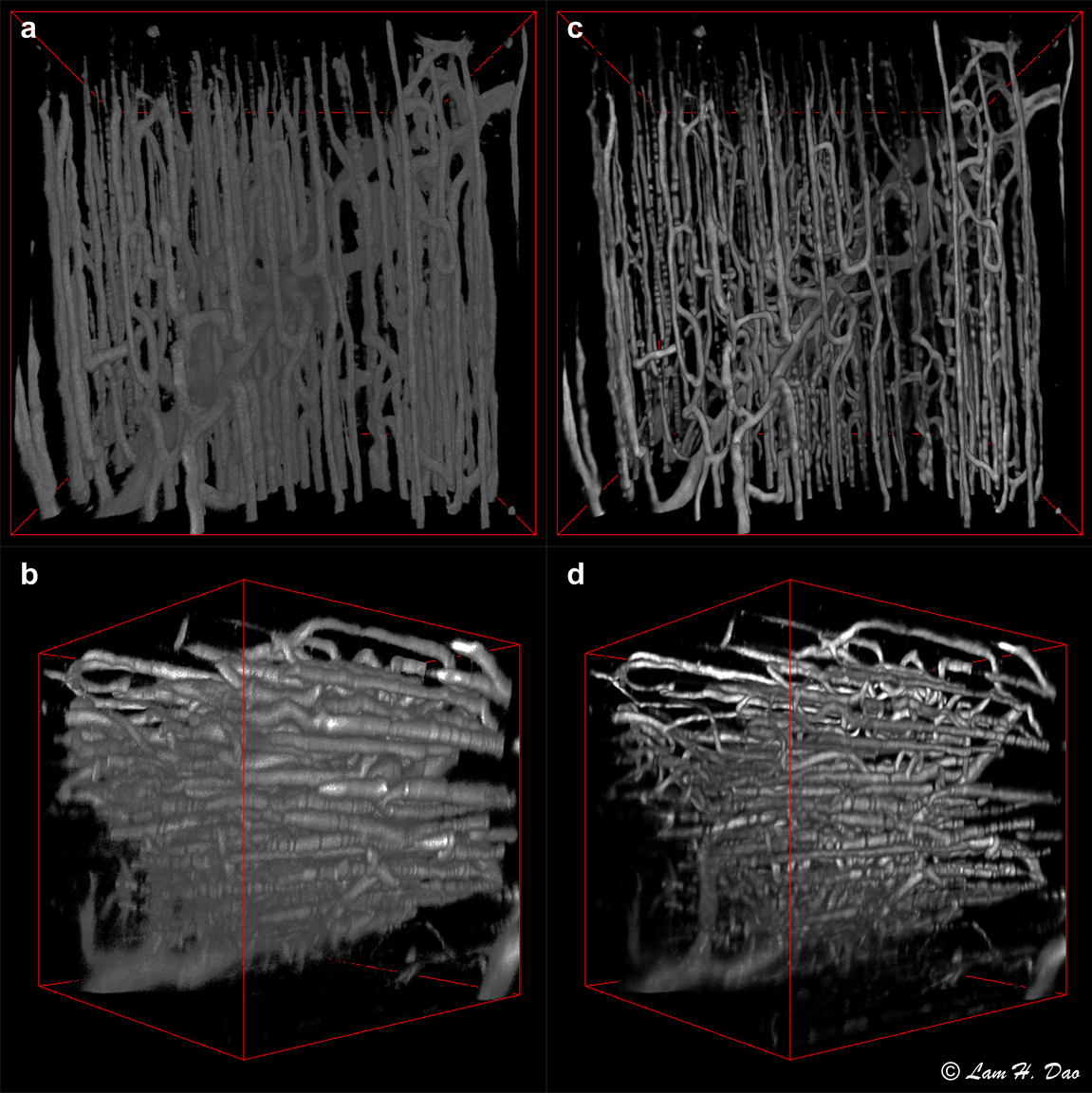 GitHub - lamdao/bdkf: 3D Adaptive Spatial deconvolution using Blind Deconvolution with Kalman Filter