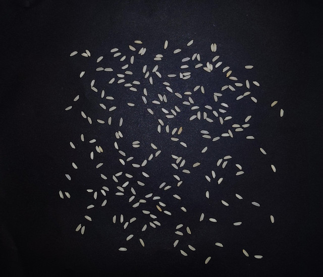 GitHub - mramanindia/Rice_grains_Analysis: Counting rice grain and ...