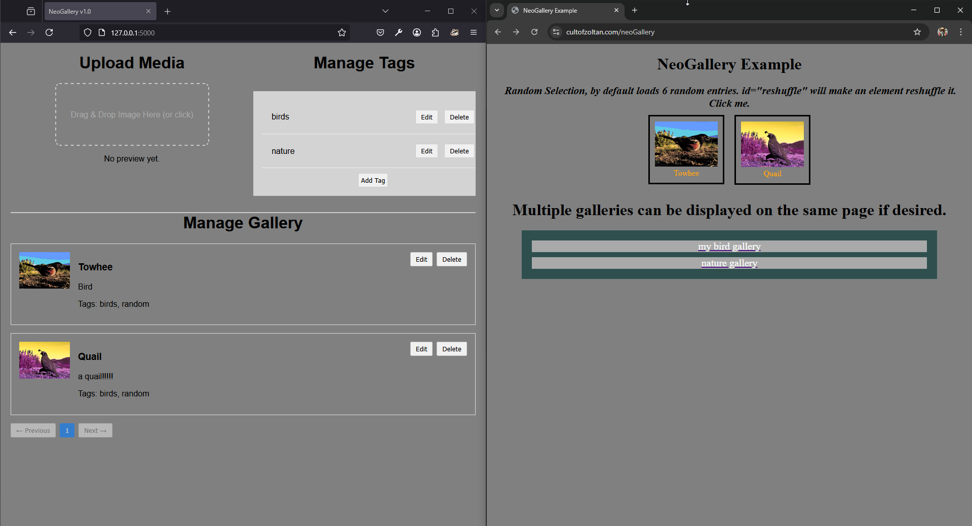 GitHub - KingPoss/NeoGallery: Gallery management and display for Neocities