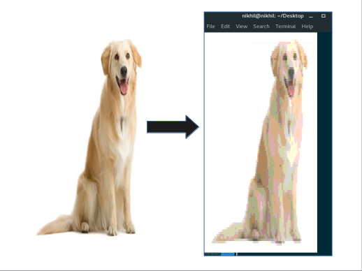 GitHub - nikhilkumarsingh/terminal-image-viewer: A Simple Python Script ...