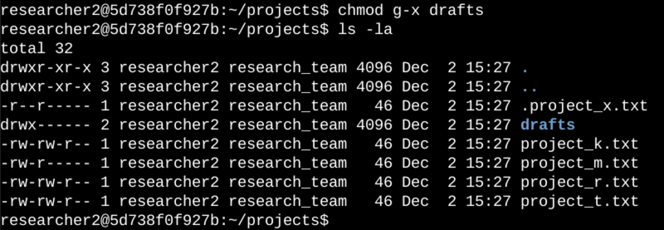 GitHub - Chisomeboh1/File-Permission-in-Linux