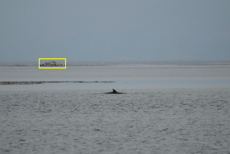 GitHub - TheoBoyer/Manual-bbox-annotation-tool