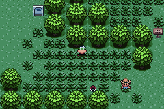 GitHub - hades-emu/Hades: 🔥 A Nintendo Game Boy Advance Emulator