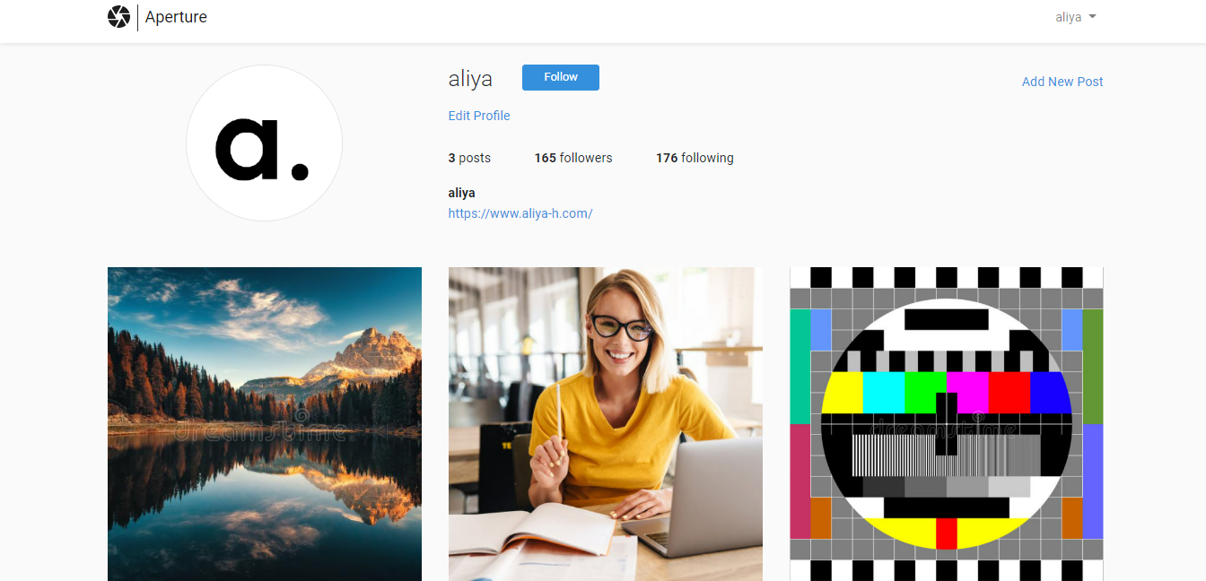 GitHub - ayaxxchanz/Laravel-Instagram-Clone: Instagram Clone made with Laravel 8. Currently ...