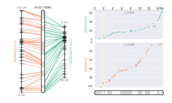 ALLMAPS · tanghaibao/jcvi Wiki · GitHub