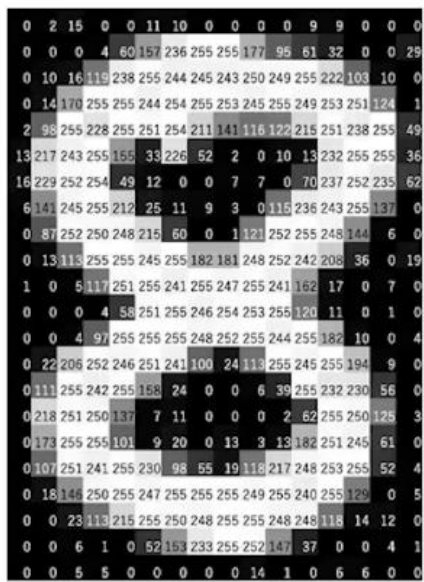 GitHub - therealczr15/2025_NYCU_OOPFP_Image_Processing