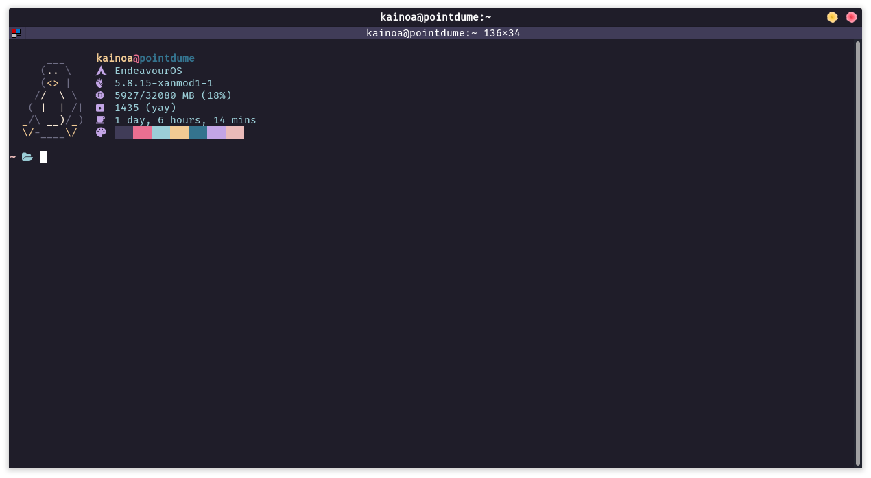 GitHub - rose-pine/terminator: Soho vibes for Terminator