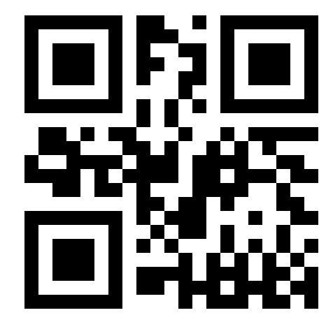 GitHub - JackRNash/QR-Code-Generator: A QR code generator built from ...