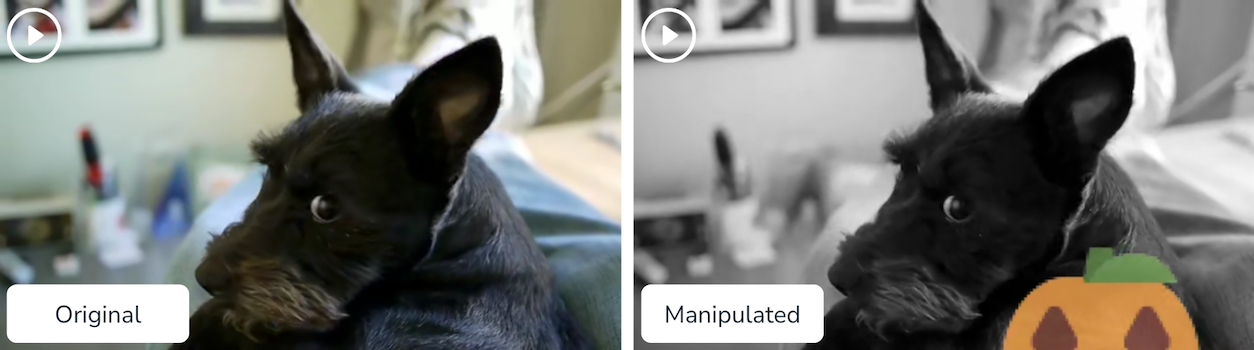 GitHub - drivendataorg/video-similarity-challenge: Links to winning solutions for the Meta AI ...