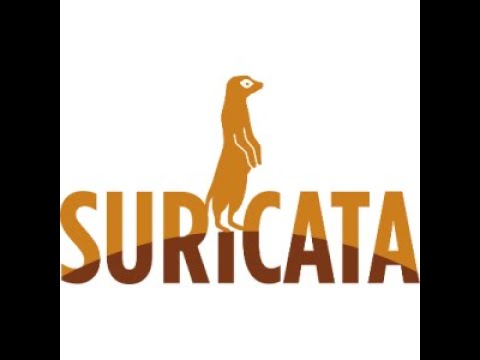 GitHub - nn-df/suricata-installation: This script for suricata ...