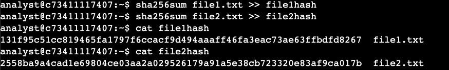 GitHub - eportillo3/create-hash-values: In this lab activity, we’ll create hash values for two ...