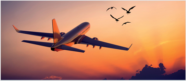 GitHub - ak-123459/Bird-Strikes-Data-Analysis-And-Visualizations