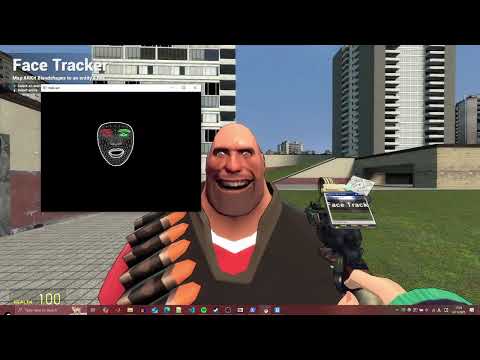 GitHub - vlazed/face-tracker: Control any GMod face with your face · GitHub