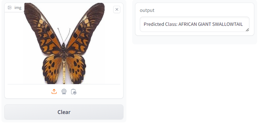 GitHub - KameliaZaman/Butterfly-Classification-using-CNN: Butterfly image classification using ...