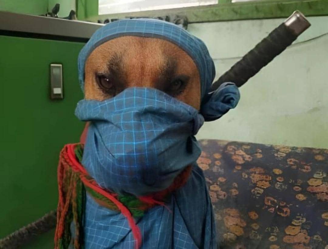 GitHub - VeronDev/Baileys