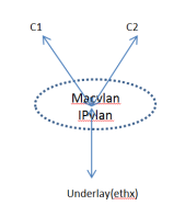 Macvlan and IPvlan basics · GitHub