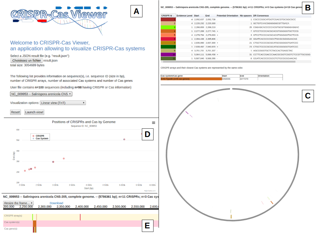 GitHub - dcouvin/CRISPRCasViewer: An application allowing to visualize CRISPR-Cas systems from a ...