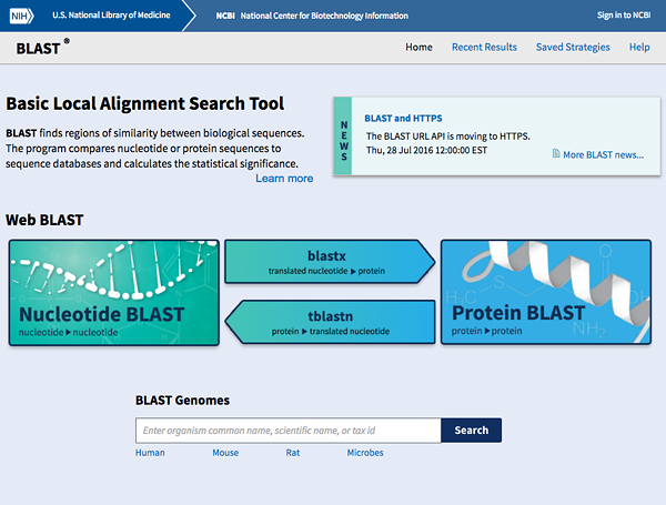 GitHub - meso-cacase/20250421