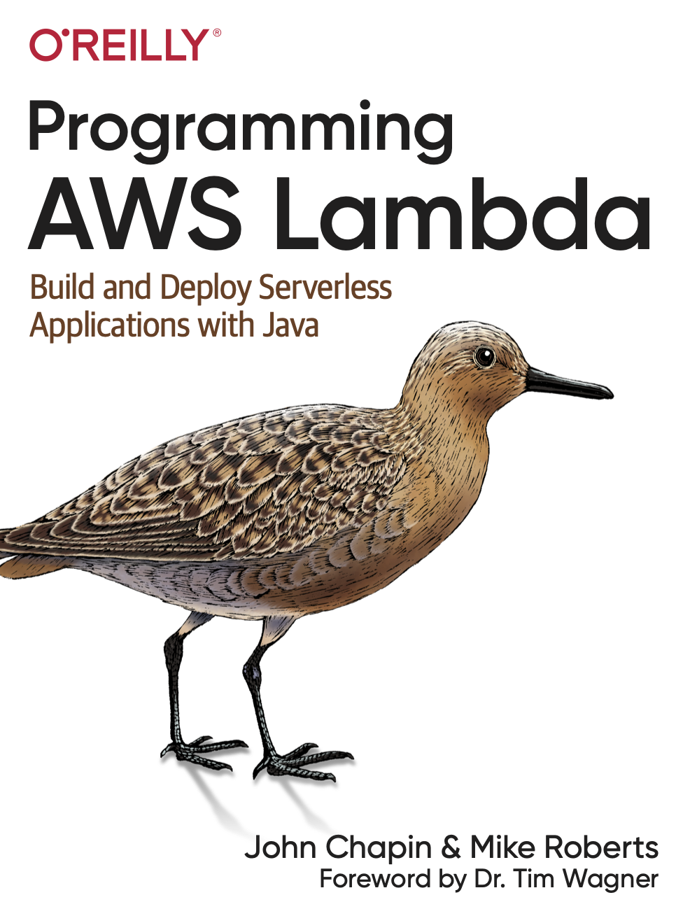GitHub - symphoniacloud/programming-aws-lambda-book: Example code for ...