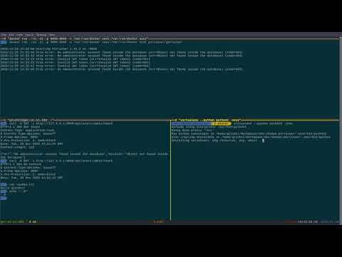 GitHub - lichti/shodan-portainer: This script search at shodan for ...