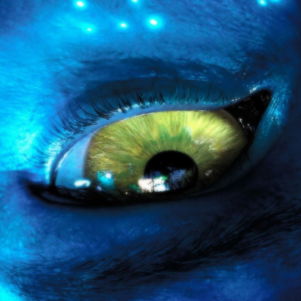 GitHub - dibiex/quadtree-compress: Image compression using quadtree ...