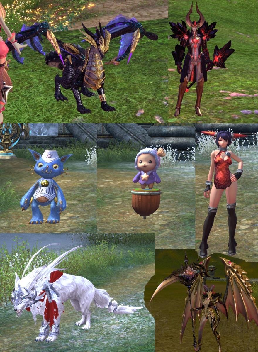 GitHub - CatAnnaDev/pet-skin-replacer: Customize your pet's appearance