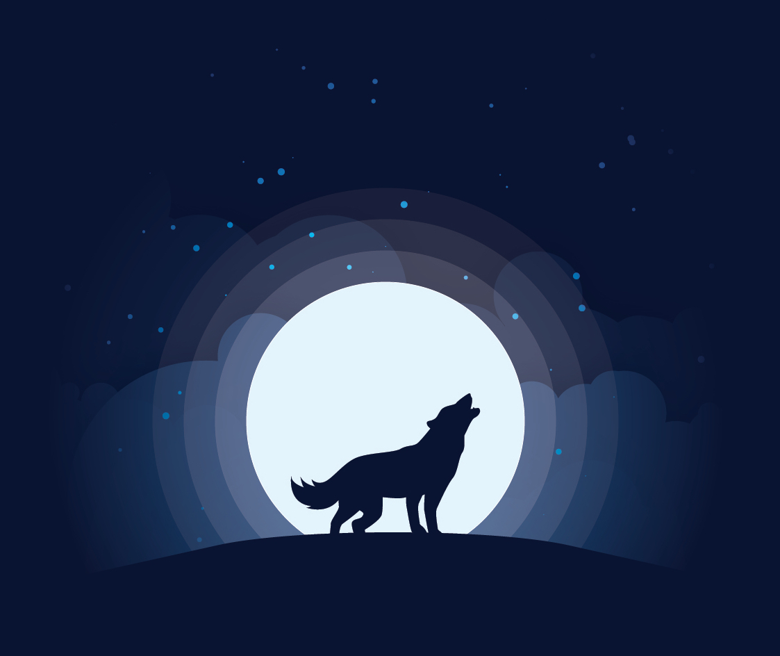 GitHub - AddonSBC/Lupo-Pages: Test