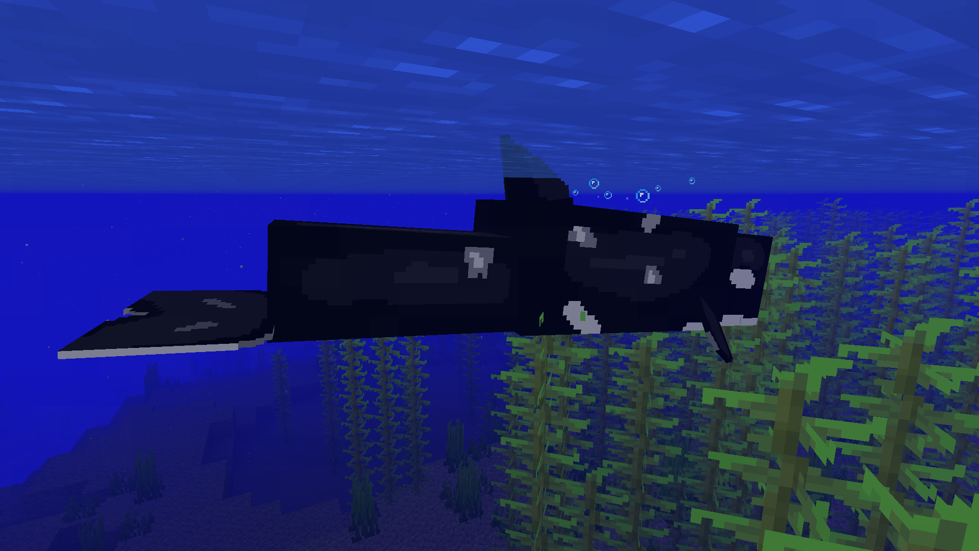 GitHub - Jufyer/Whales: This is a Minecraft Plugin wich adds Whales to Minecraft.
