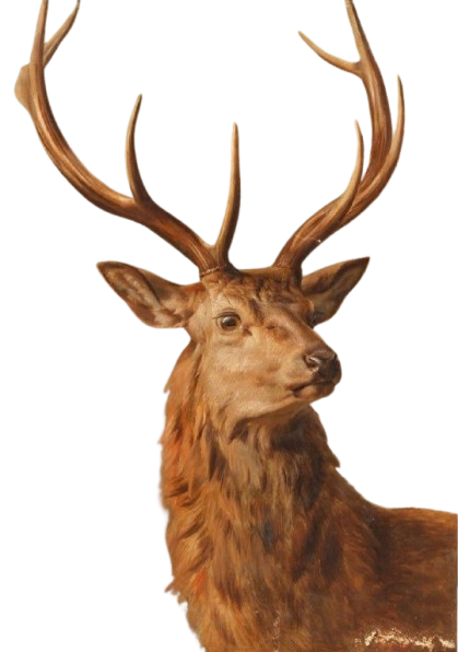 cheesewezz (wolfman) · GitHub