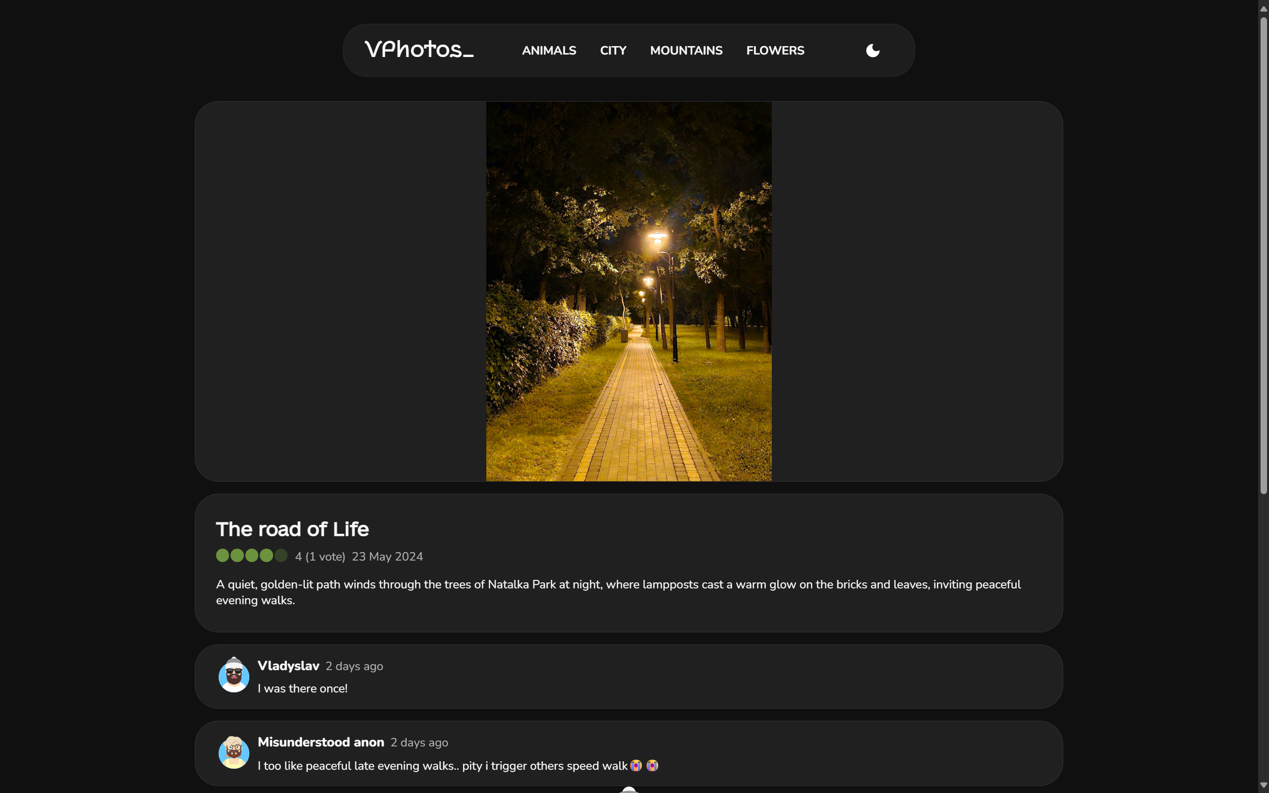GitHub - tochanenko/Gallery