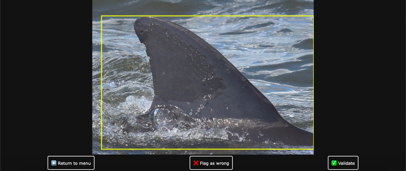 GitHub - TheoBoyer/Manual-bbox-annotation-tool