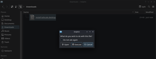 GitHub - Str-iker/steamdeck-tailscale: Crappy things I have made for tailscale on the deck