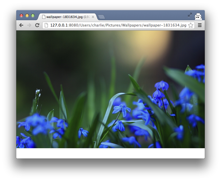 GitHub - haileys/quickserve: easy and convenient HTTP file server